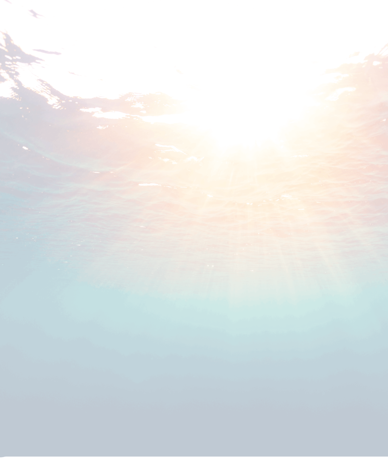 Dive into Toba - Ama Divers, Fishermen, Seafood & More