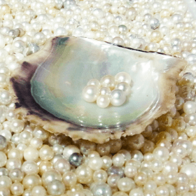 Dive into Toba - Ama Divers, Fishermen, Seafood & More