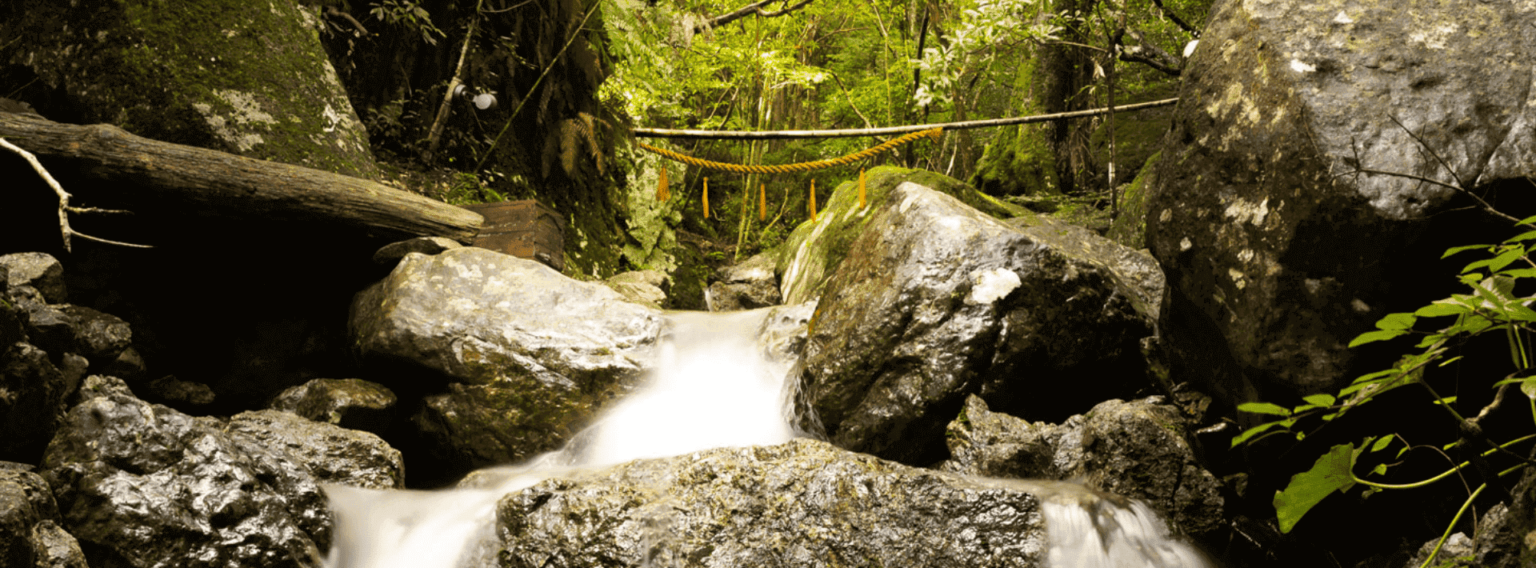 Dive into Toba - Ama Divers, Fishermen, Seafood & More