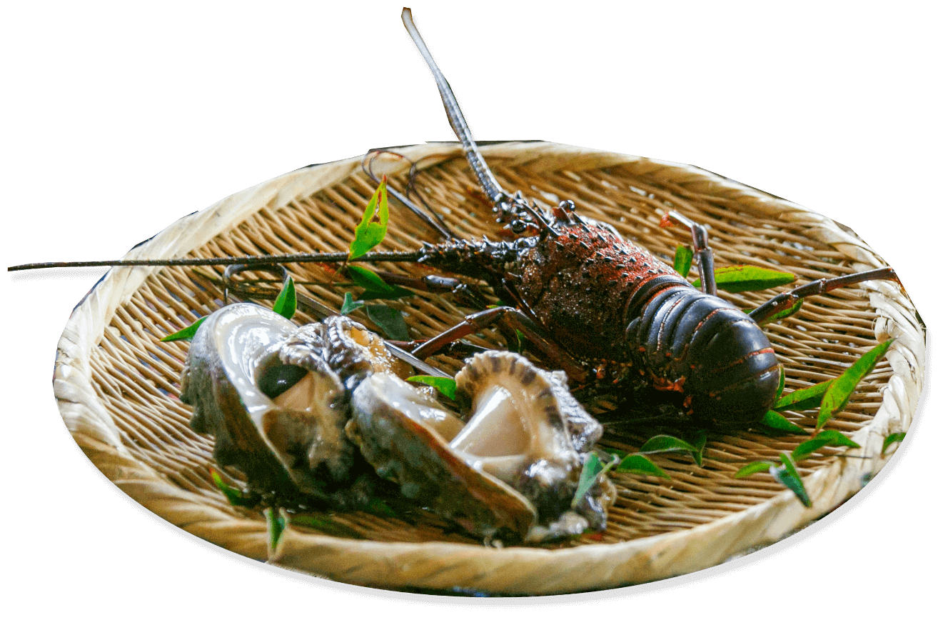 Dive into Toba - Ama Divers, Fishermen, Seafood & More